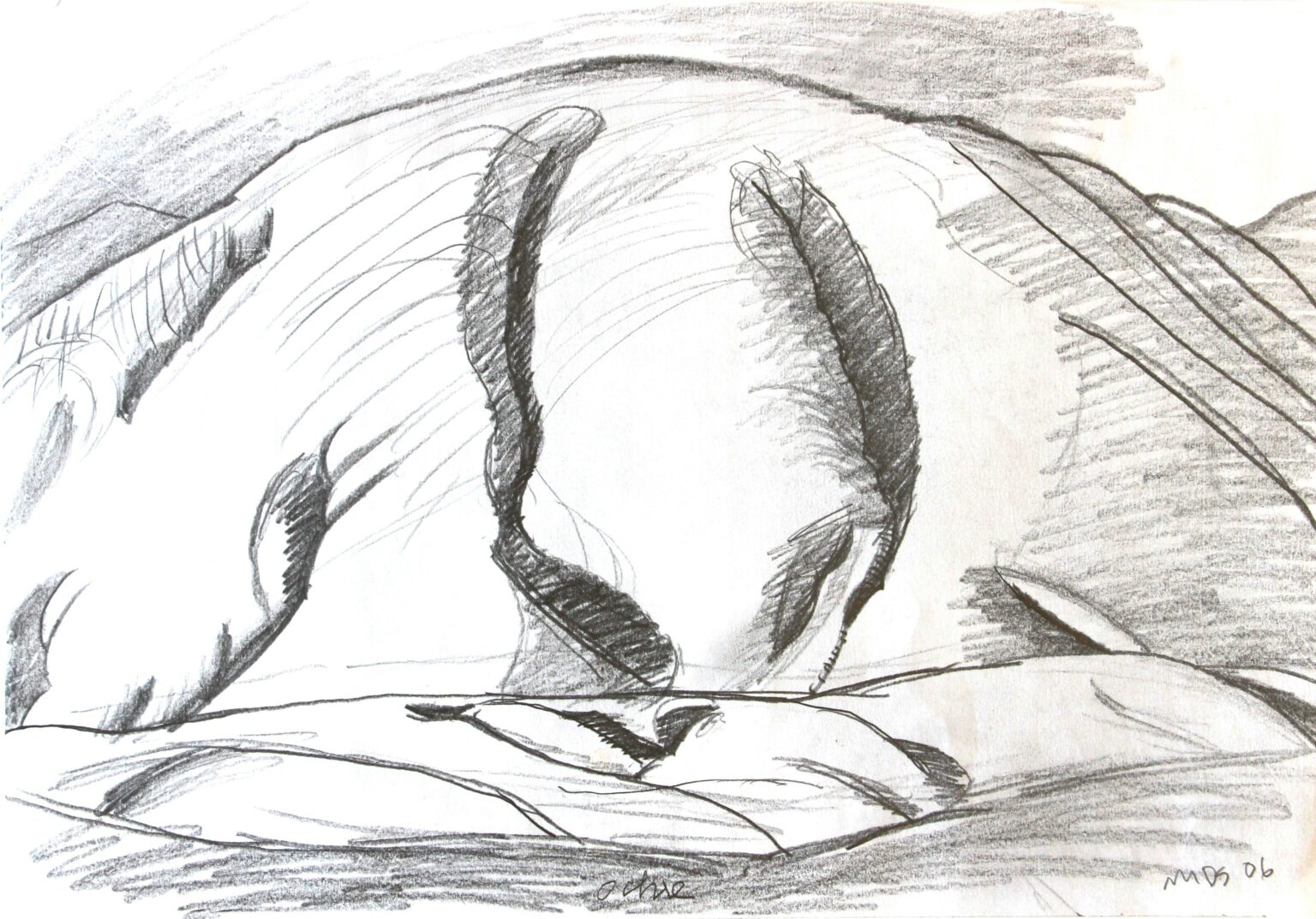 Artwork 'Hawkdun Detail' - The Diversion Gallery